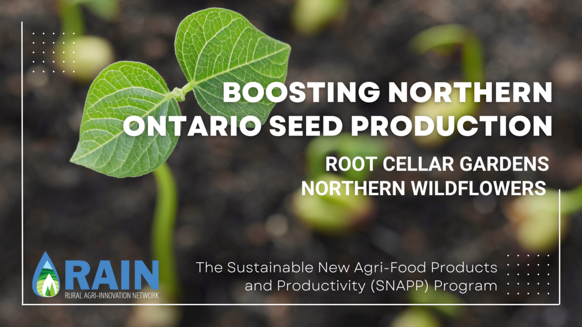Boosting Northern Ontario Seed Production | Rural AgrInnovation Network ...